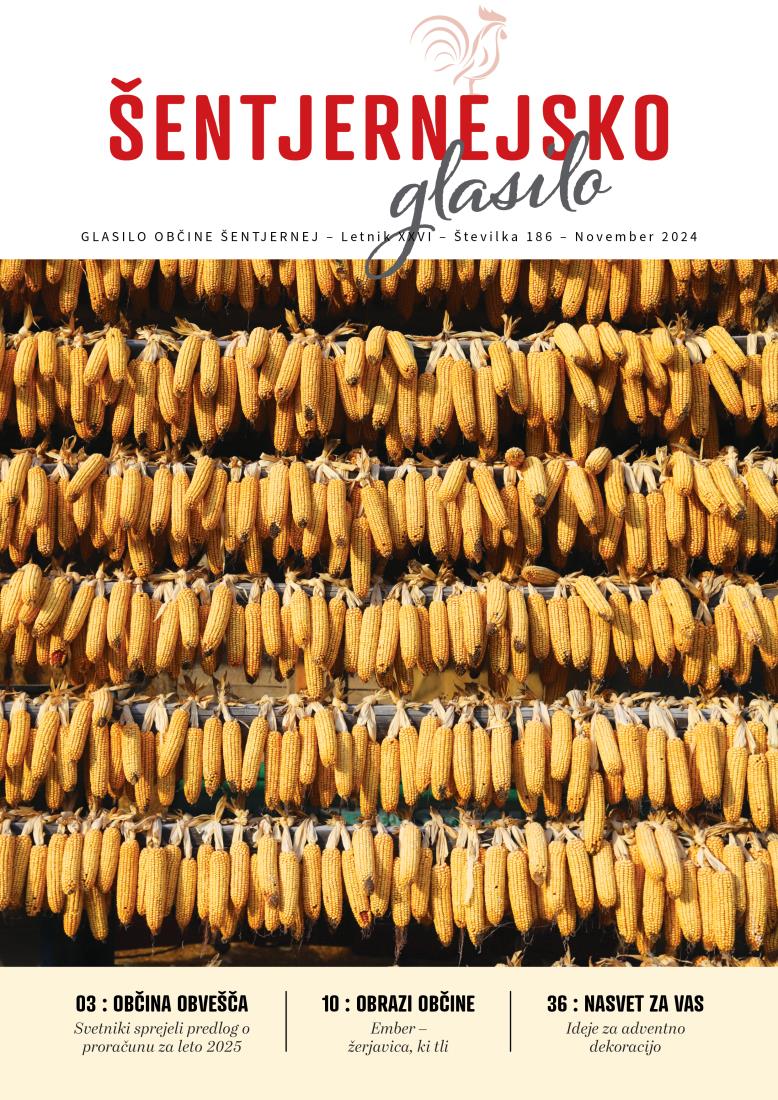 November 2024 - sentjernej.si